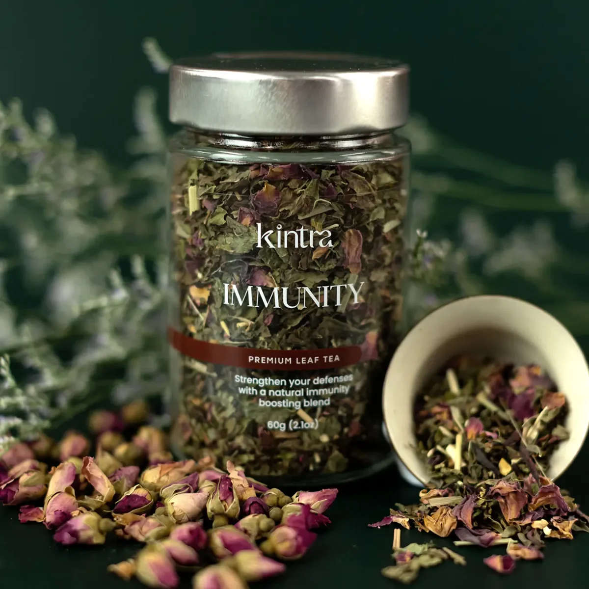 Immunity 60g | Kintra Loose Leaf Immune Support Tea