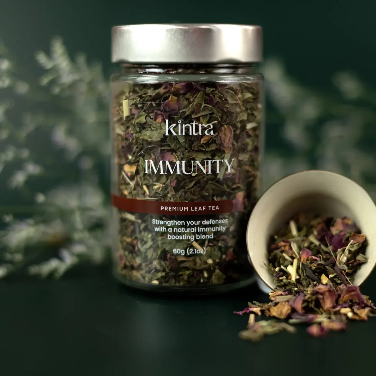Immunity 60g | Kintra Loose Leaf Immune Support Tea